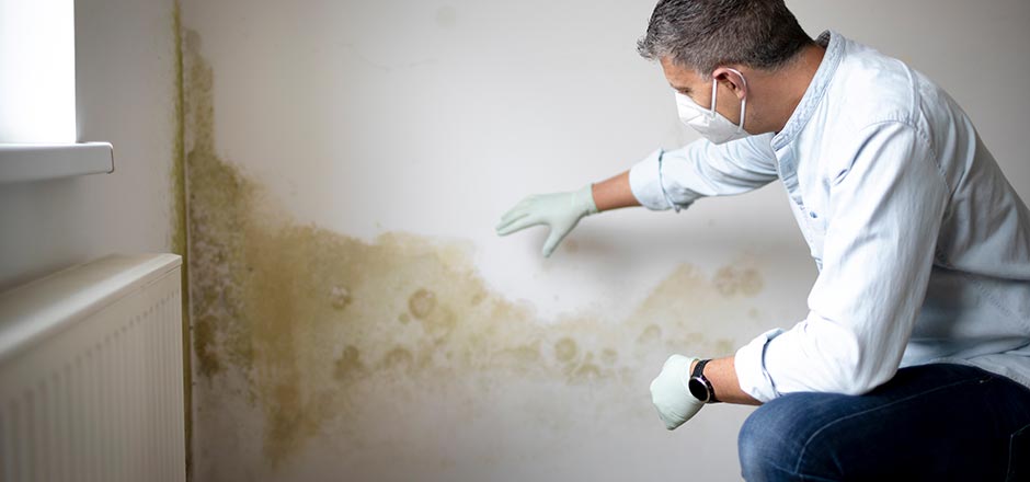 Remontée capillaire : identification et traitement | Infos et Conseils ...