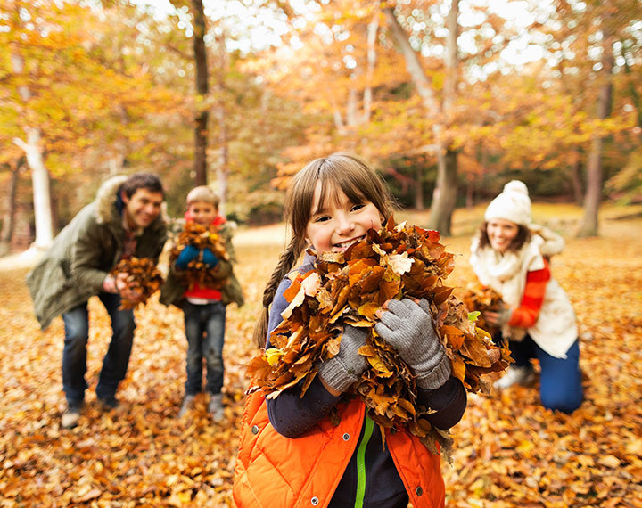 MAAF | Assurance pour particuliers et professionnels | Page d’accueil