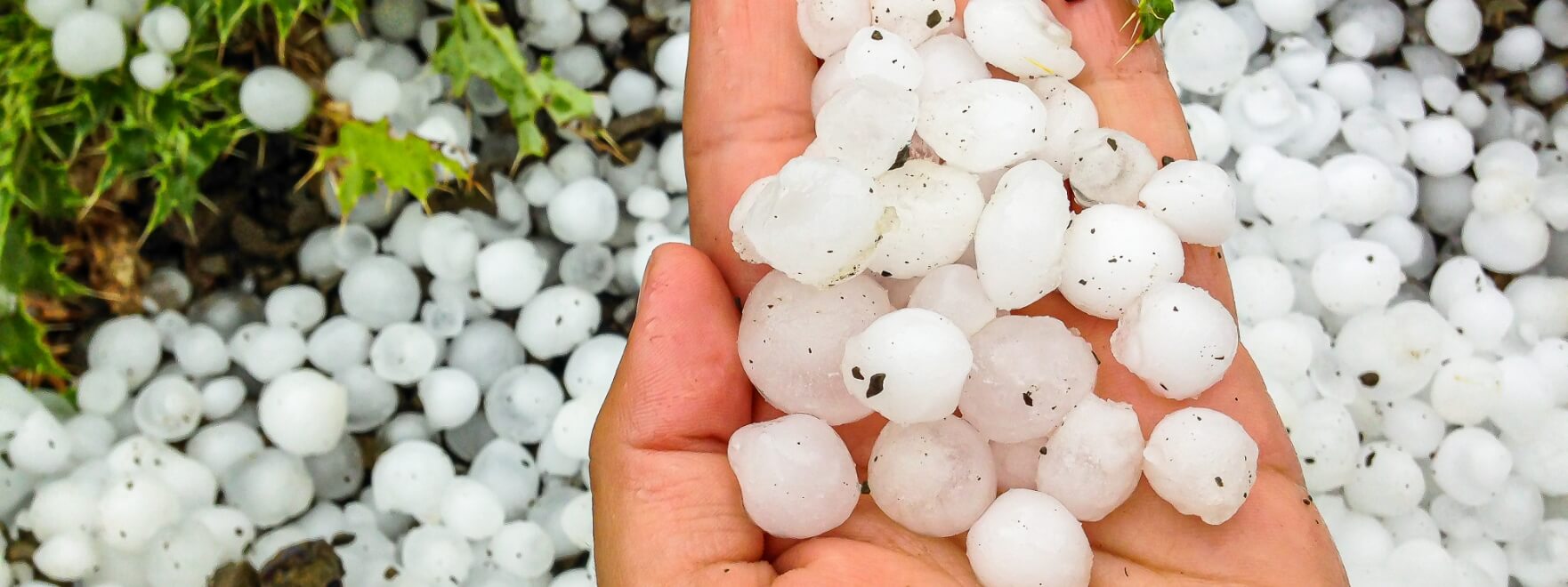 Que faire en cas de grêle | Infos et Conseils | MAAF