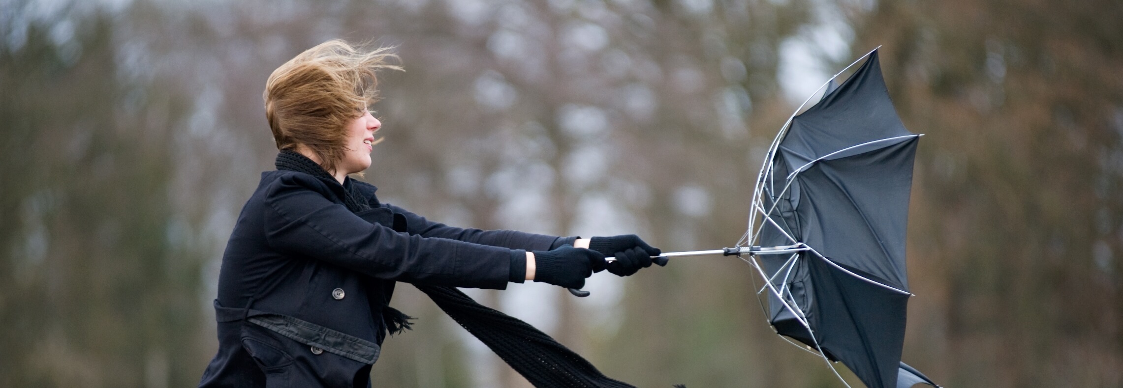 Prévention vent violent | Infos et Conseils | MAAF