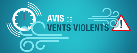Prévention vent violent | Infos et Conseils | MAAF